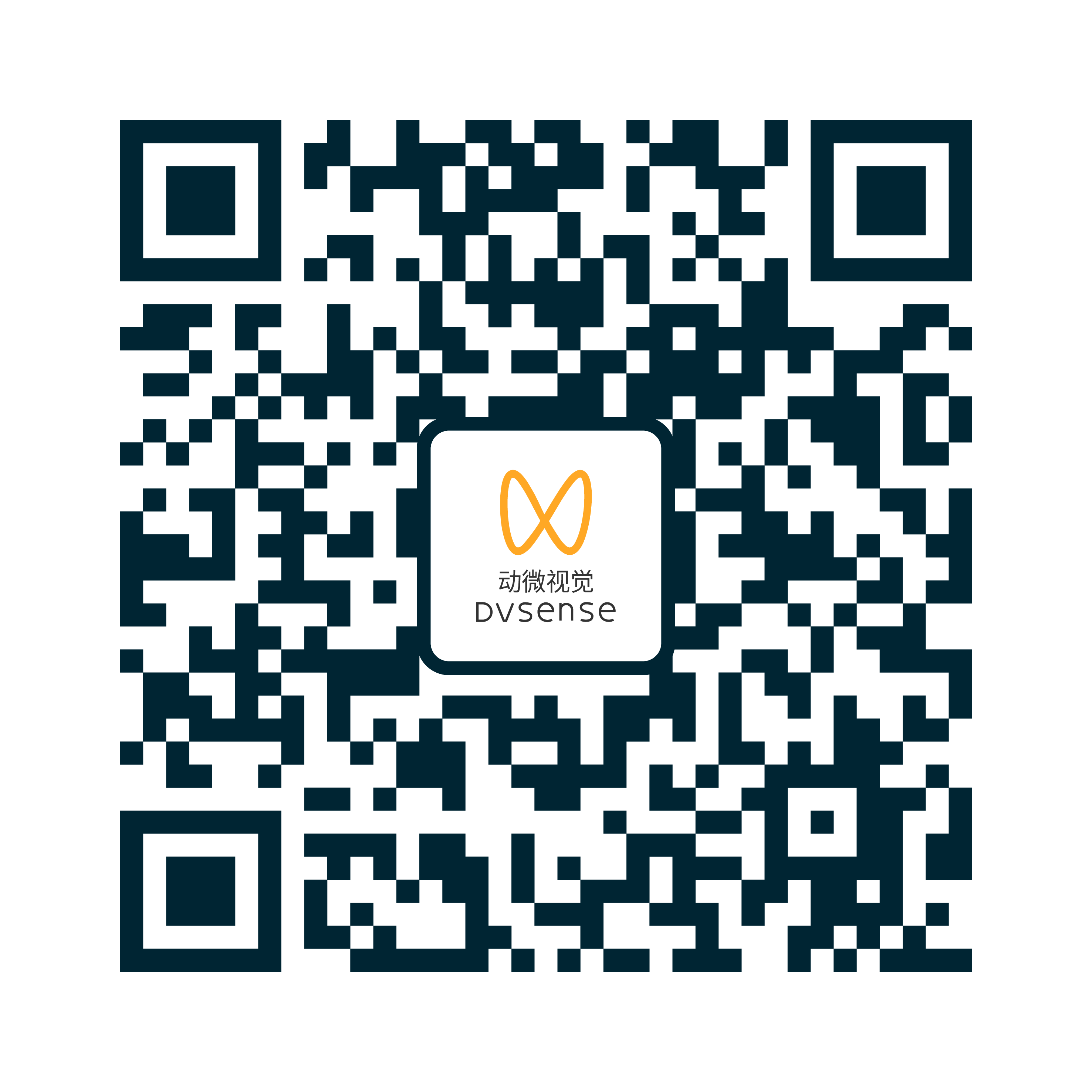 动微视觉 DVSense – DVSense